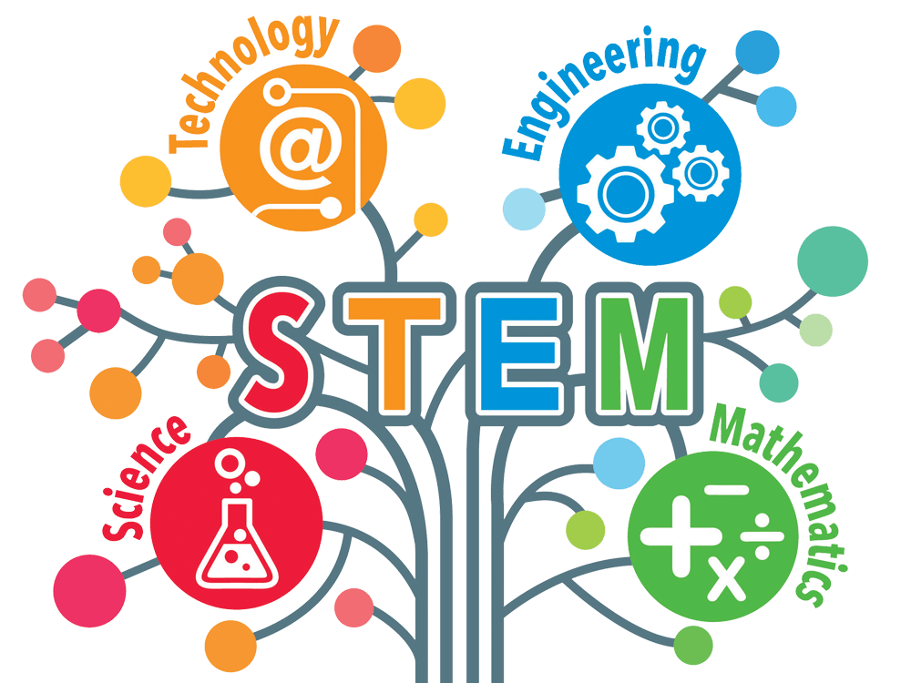 兒童英語STEM科學大冒險 ~油塘 | BGCA Fans 香港小童群益會 活動資訊網站