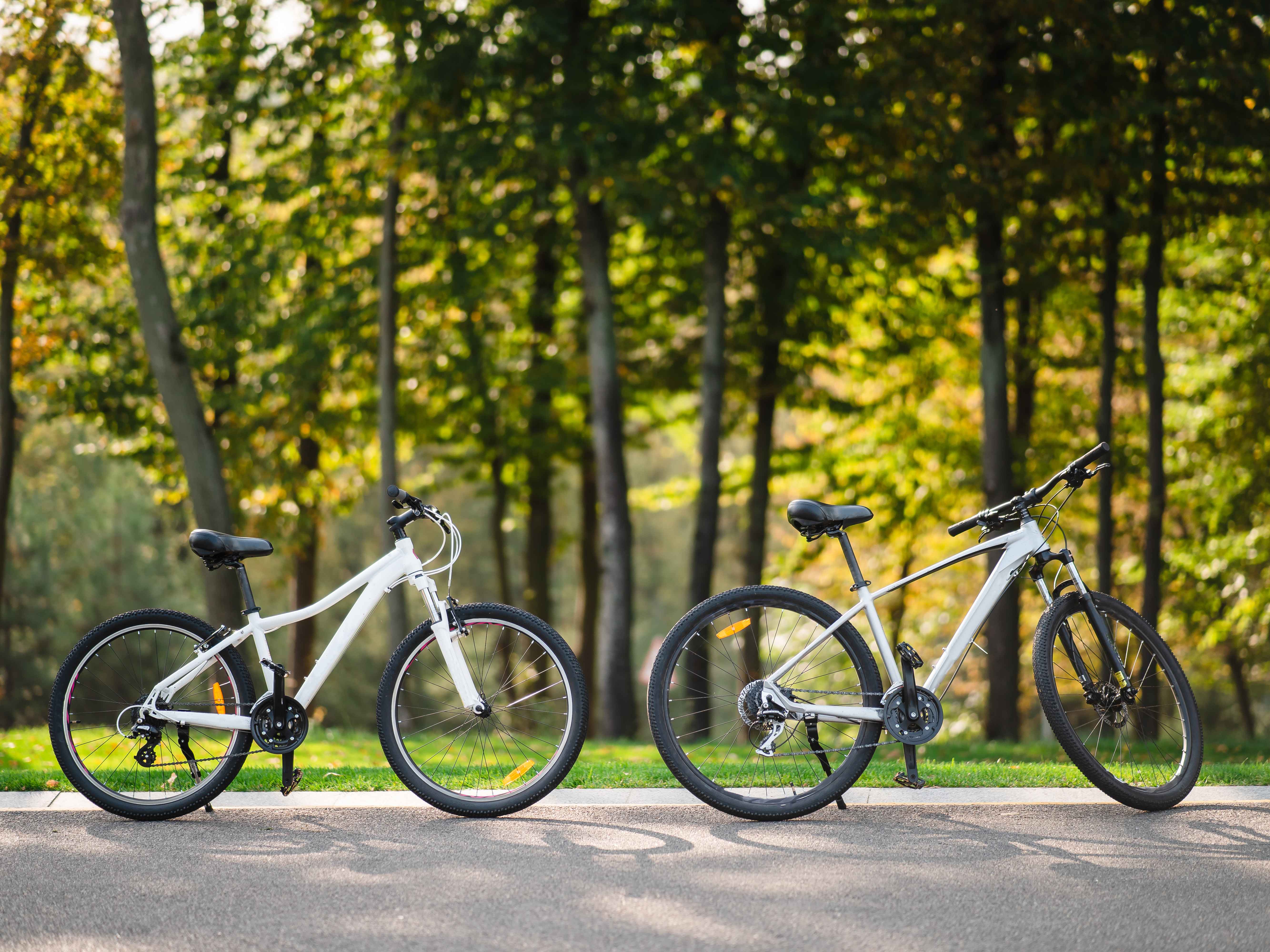 單車輕騎行(B) | BGCA Fans 香港小童群益會 活動資訊網站