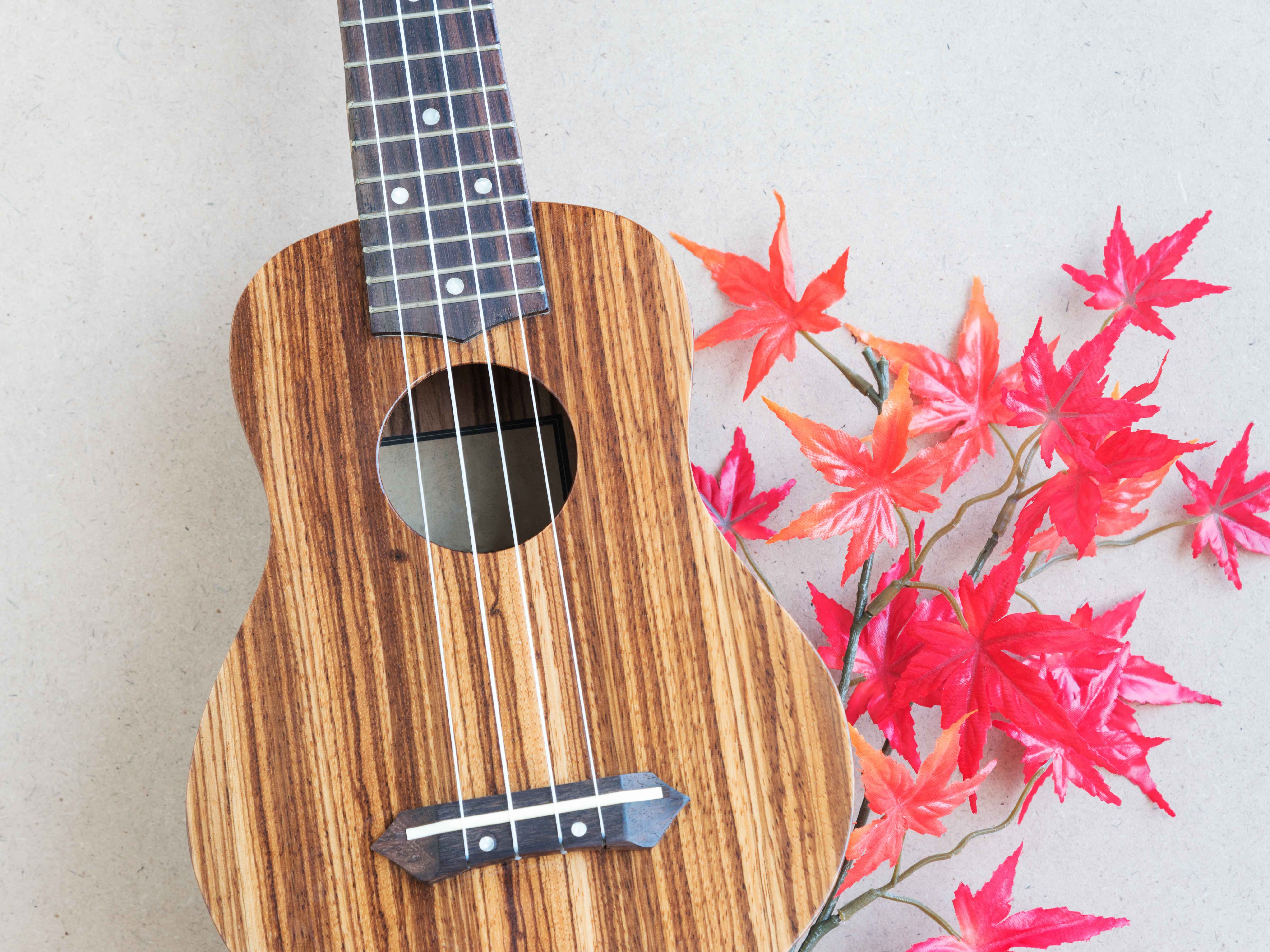 兒童小結他(五)1-3月2025 | BGCA Fans 香港小童群益會 活動資訊網站