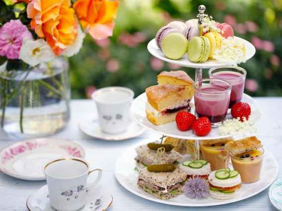 Tea Break@202410 -（初小：6-8歲） | BGCA Fans 香港小童群益會 活動資訊網站