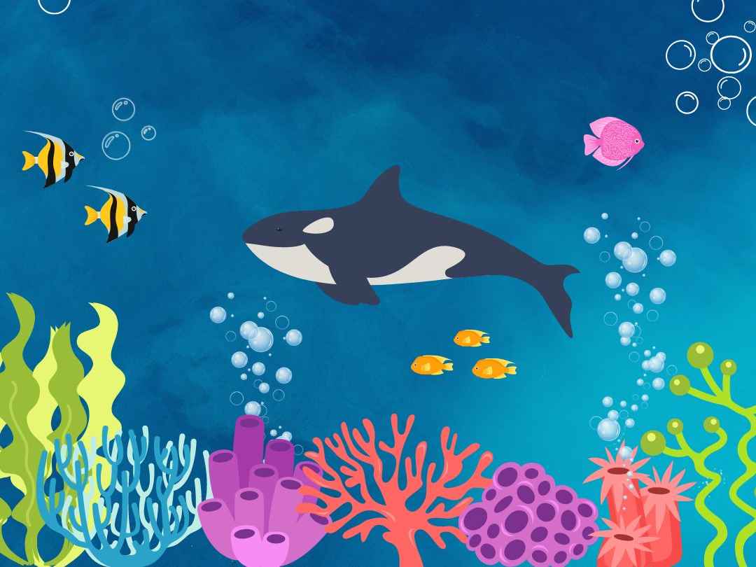 Under The Sea Art Group | BGCA Fans 香港小童群益會 活動資訊網站