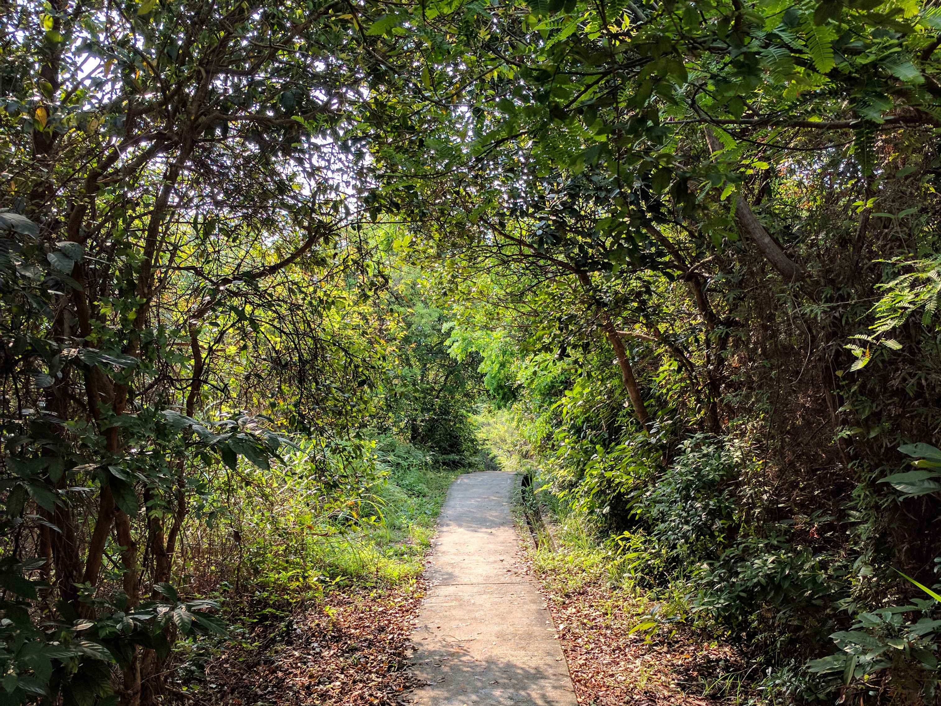 炎炎夏日 山遊記 Rd 03 | BGCA Fans 香港小童群益會 活動資訊網站