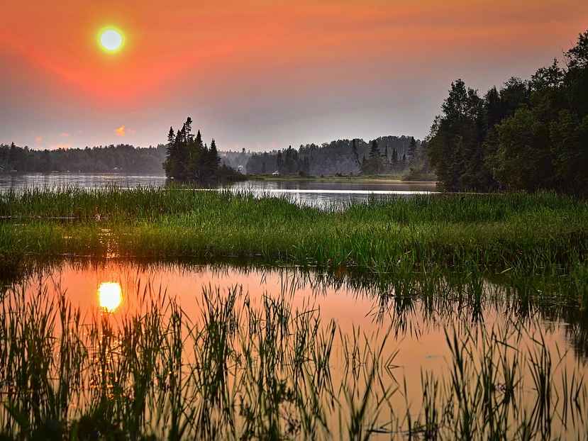 天水圍環保探索行 | BGCA Fans 香港小童群益會 活動資訊網站