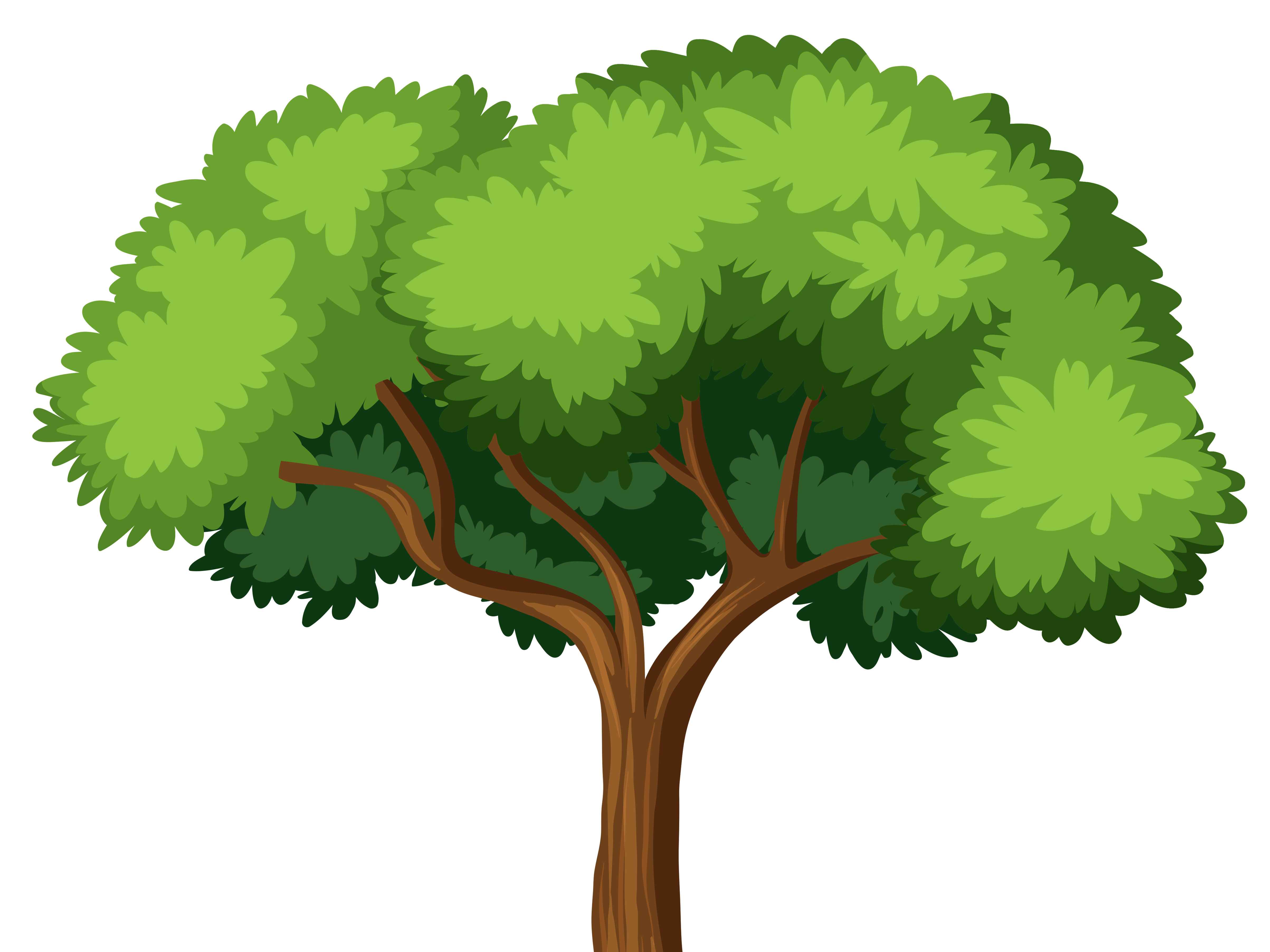 樹木小醫生導賞團 | BGCA Fans 香港小童群益會 活動資訊網站